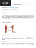 Glossary of Podiatry Terms | PDF | Toe | Foot