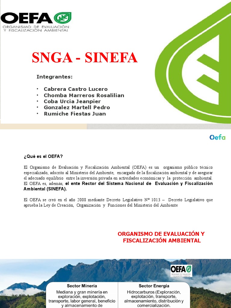 Snga - Sinefa | PDF | Política | Gobierno