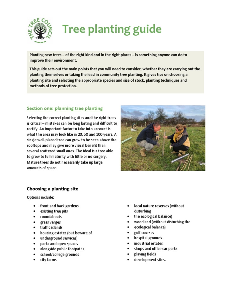 Tree Planting Guide | Download Free PDF | Plant Nursery | Trees