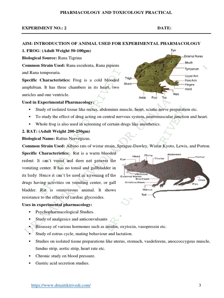 Animal Used For Experimental Pharmacology | Download Free PDF ...