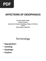 Swine Blood Collection Guide | PDF | Vein | Syringe