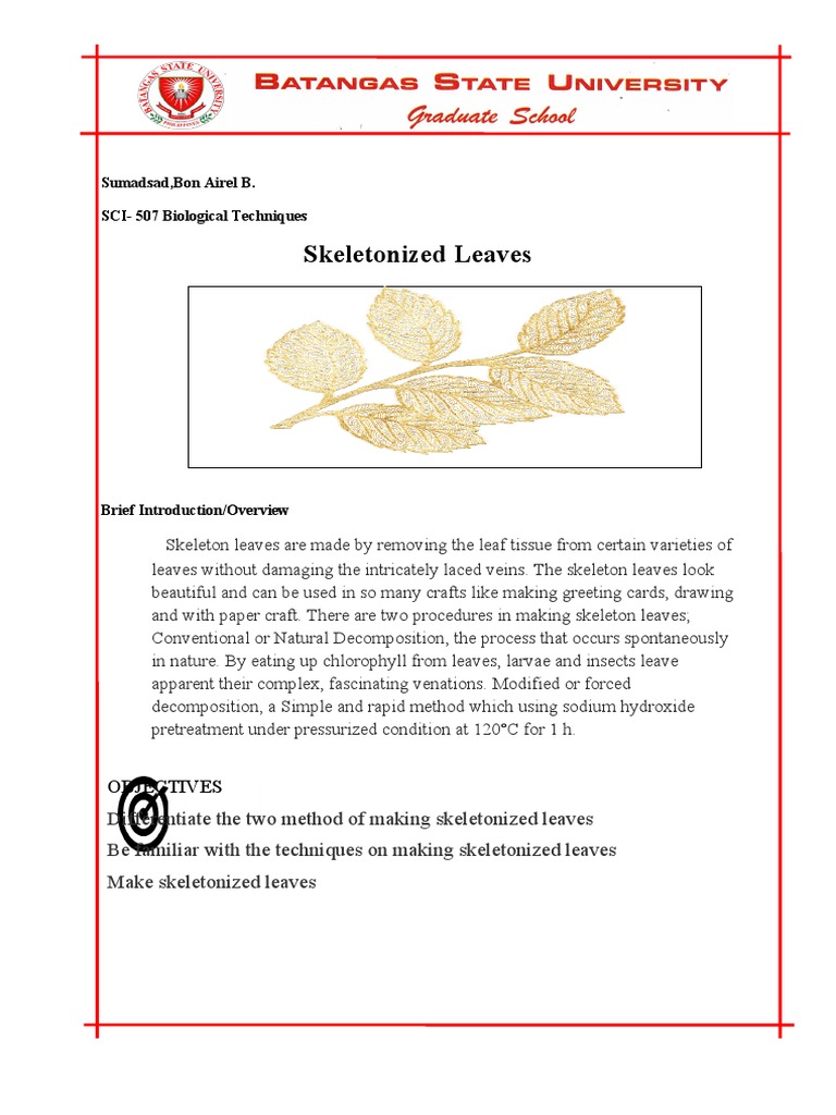 Skeletonized Leaves: Techniques & Tips | PDF | Leaf | Sodium Hydroxide
