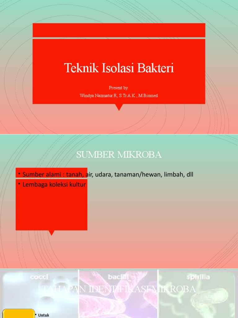 Teknik Isolasi Bakteri | PDF