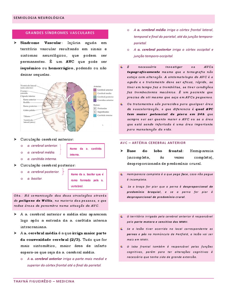 Semiologia de AVCs e Quadrantonopsia | PDF | AVC | Sistema nervoso