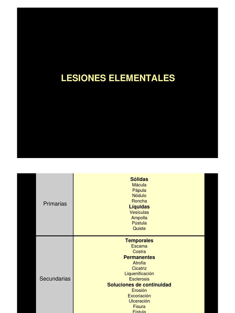 Lesiones Elementales | PDF | Dermatología | Especialidades Medicas