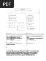 Dextrogiro y Levogiro en Química | PDF | Isómero | Estereoquímica