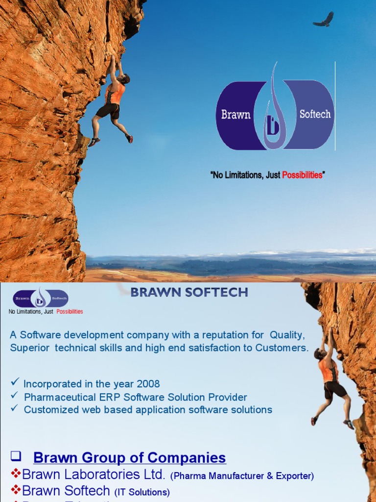 Brawn Softech - Profile | PDF | Enterprise Resource Planning | Point Of ...