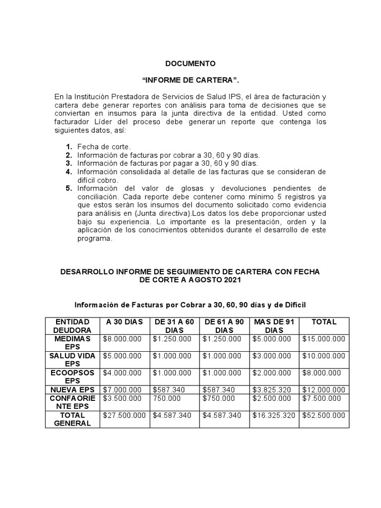 Documento Informe de Cartera | PDF | Business | Bienestar