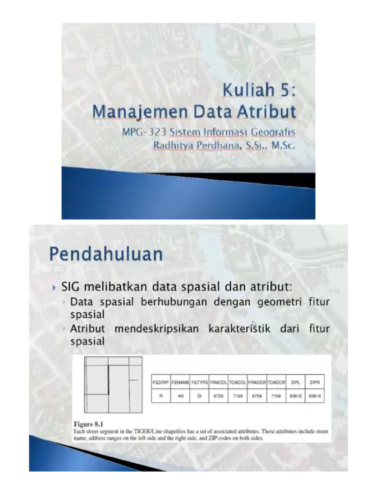 Manajemen Data Atribut | PDF