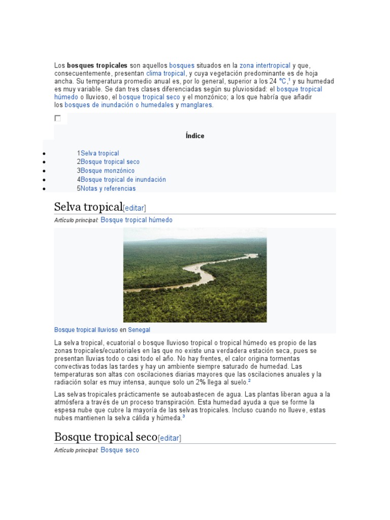 Los BOSQUES | PDF | Ciencias de la Tierra | Habitat