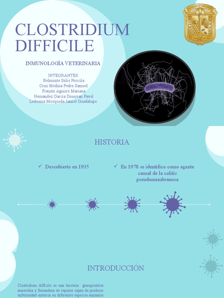 Clostridium Difficile | PDF | Microbiología | Medicina CLINICA