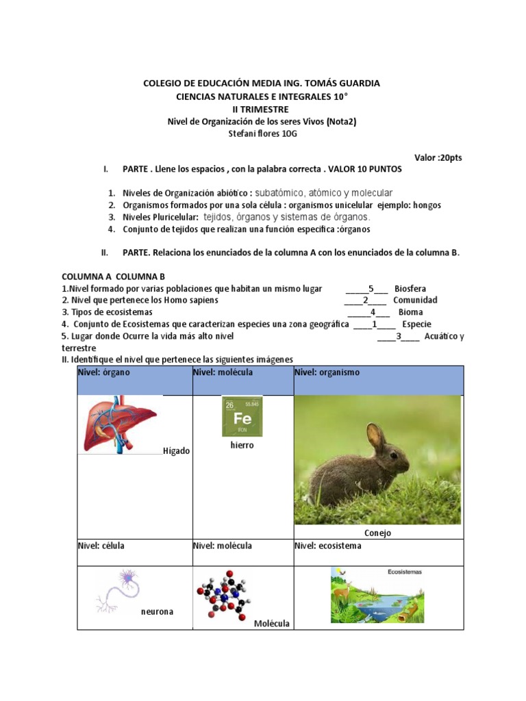 C Naturales Tarea | PDF | Ecosistema | Biología