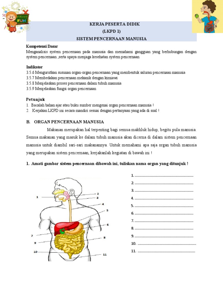 LKPD Sistem Pencernaan Manusia Kelas 5 | PDF