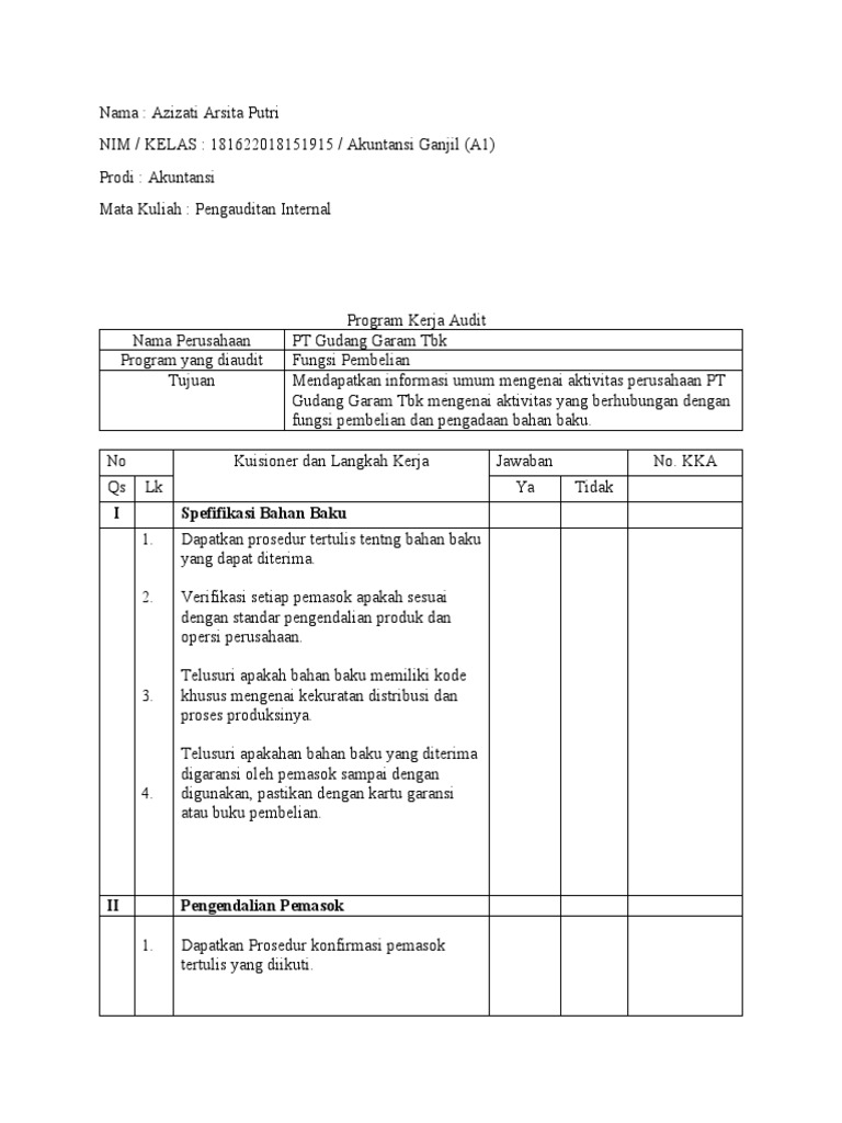 Program Kerja Audit | PDF