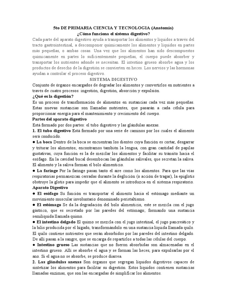 5to DE PRIMARIA CIENCIA TEC yEDUC Crist | PDF | Sistema digestivo ...