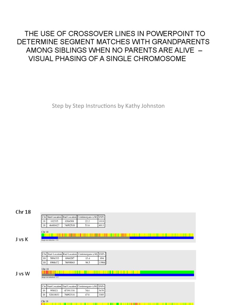 Visual Phasing of A Single Chromosome - The Use of Crossover Lines ...
