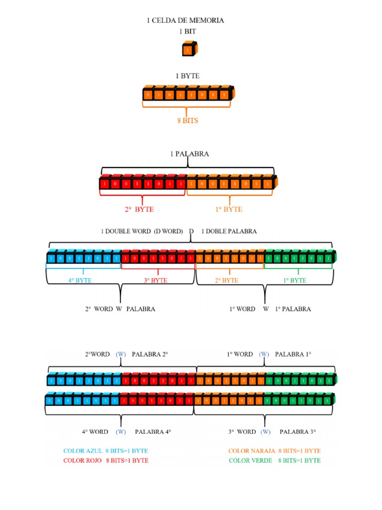 Bit Byte Word Dword Lword | PDF