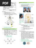 Cranial Nerve Assessment | PDF | Nervous System | Human Head And Neck