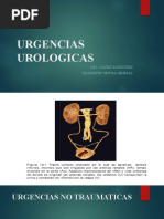 Obstrucción y Estasis Urinaria | PDF | Vejiga urinaria | Urología