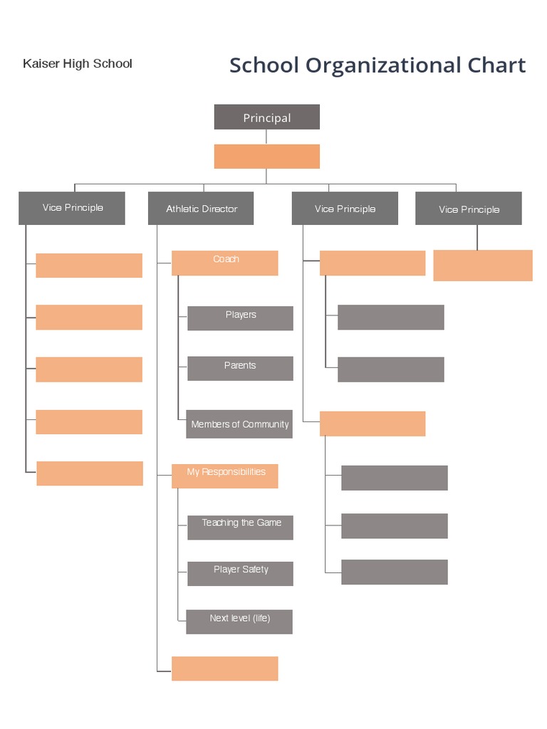 School:Club Organizational Chart | PDF