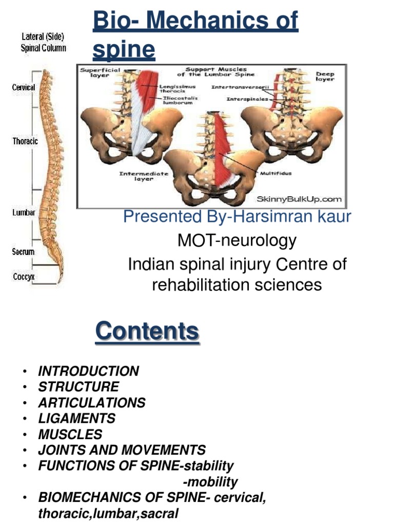 Biomechanics PDF | Download Free PDF | Vertebra | Vertebral Column