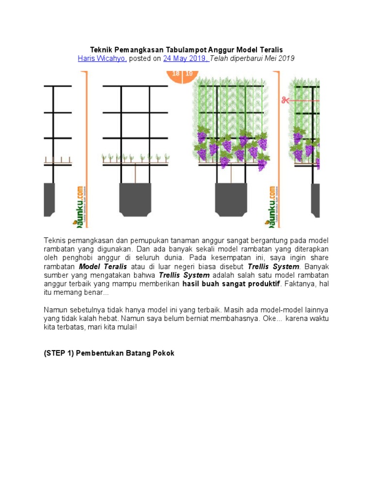 Teknik Pemangkasan Tabulampot Anggur Model Teralis | PDF