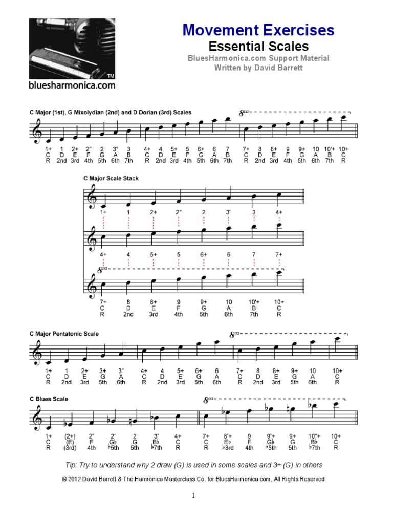 Movement Exercises Study 2 - Essential Scales Support Material | PDF