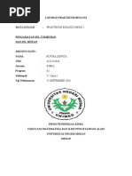 Pengamatan Sel Gabus Singkong | PDF | Griya & Taman