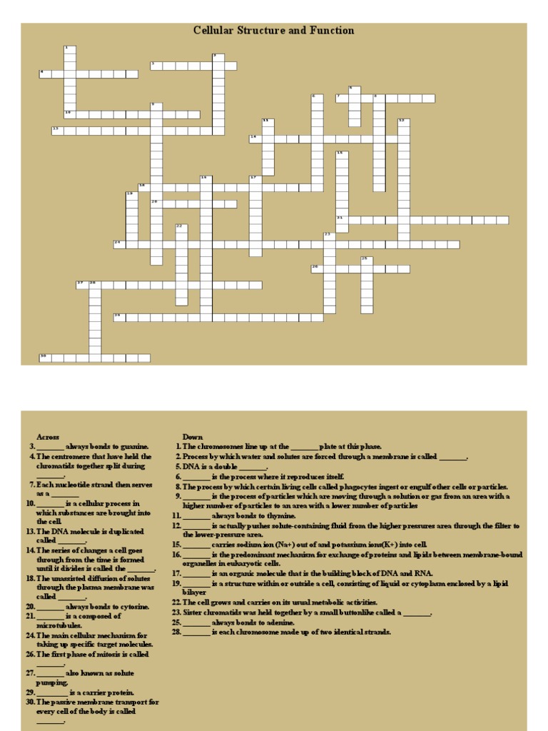 Cellular Structure and Function | PDF | Cell (Biology) | Cell Membrane