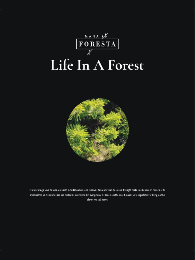 Mana Foresta Brochure | PDF | Door | Kitchen