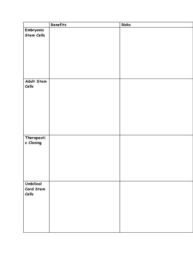Stem Cells Advantages and Disadvantages Worksheet | PDF