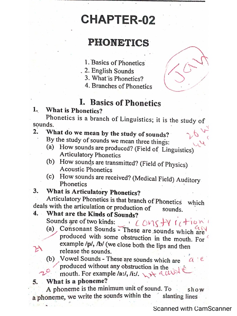 Phonetics Complete Chapter | PDF