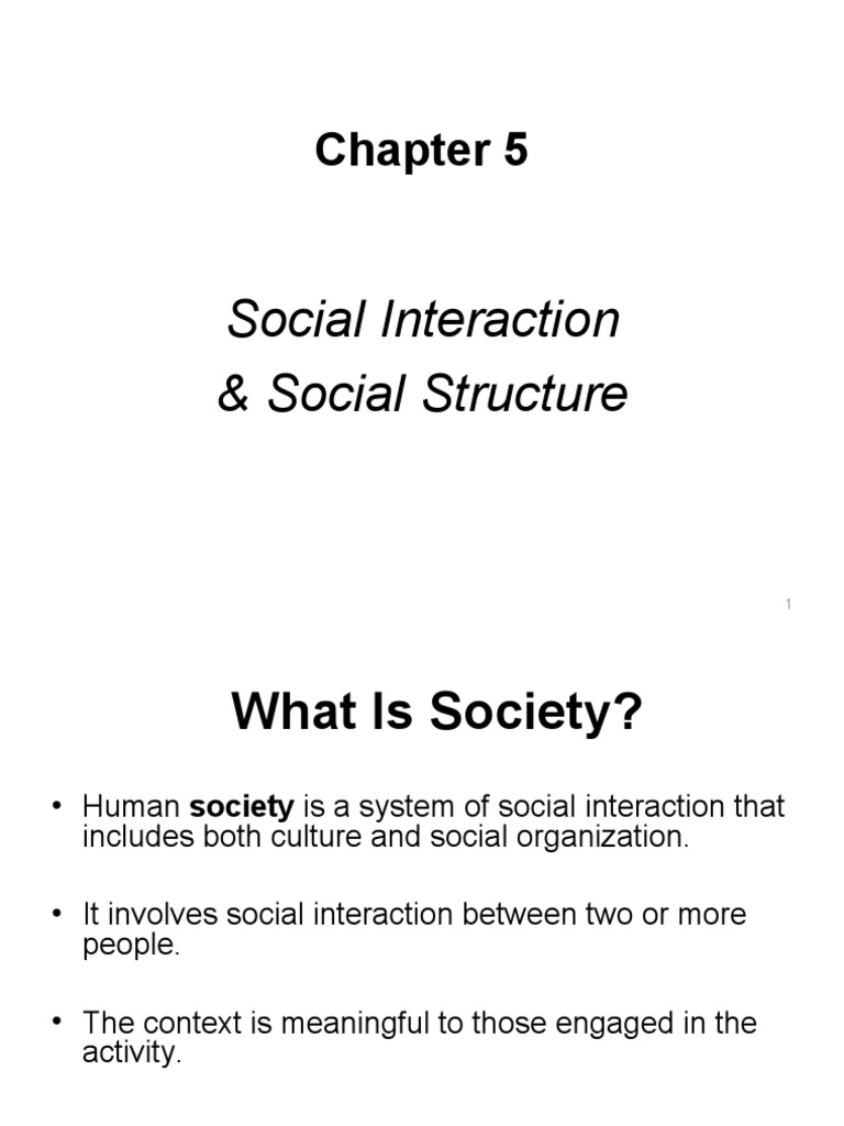 Social Interaction & Social Structure | PDF | Society | Social Status