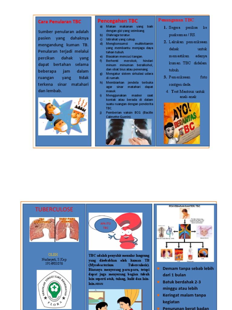 Panduan Pencegahan TBC | PDF