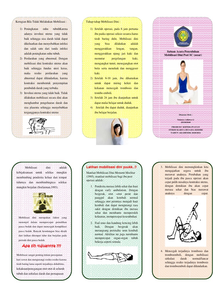 Leaflet Mobilisasi Post SC | PDF