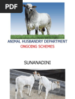 Medical Certificate Pli | PDF