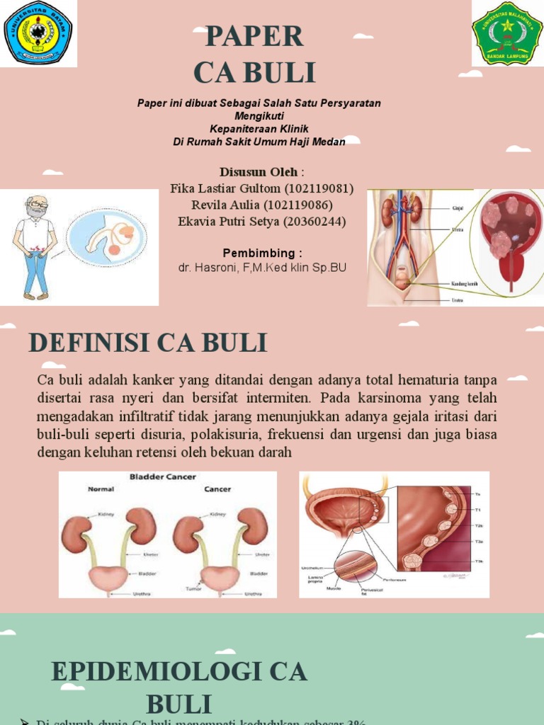 Lapkas Ca Buli Fix | PDF