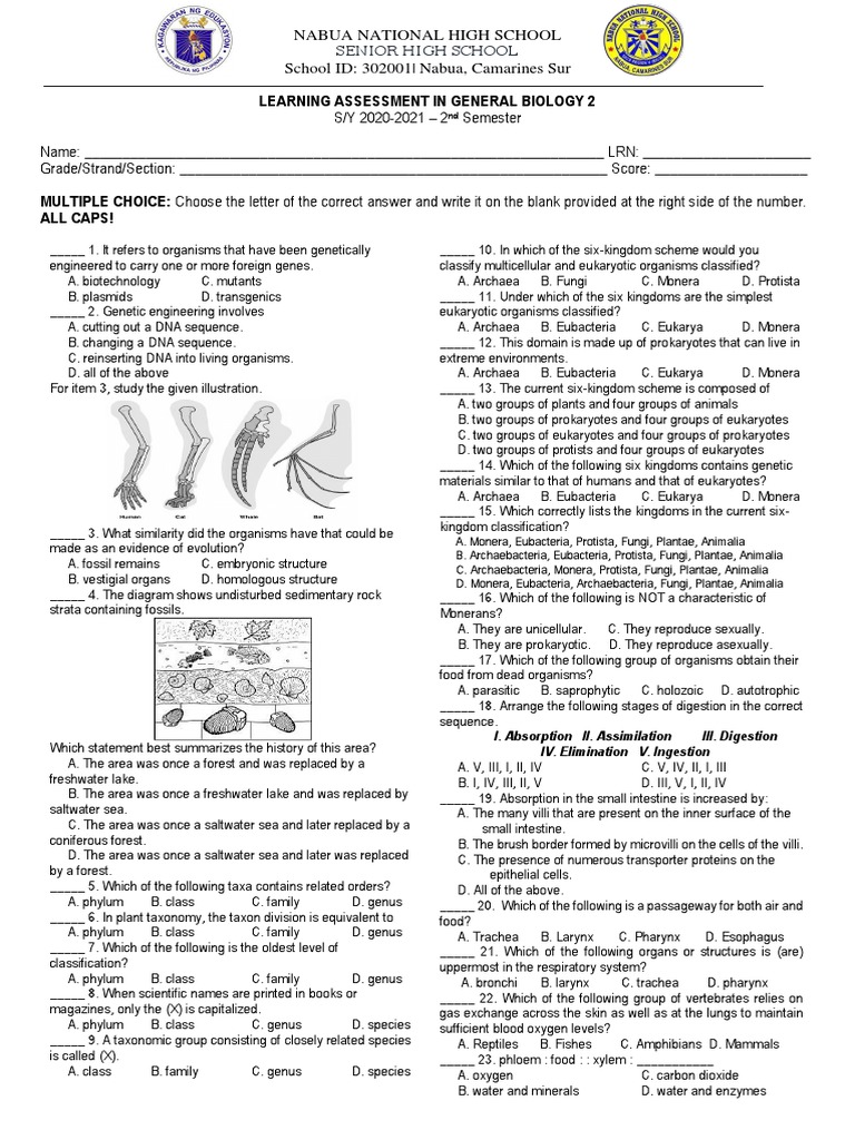 Biology2 Summative-Test 2ndsem | PDF | Biology | Anatomy