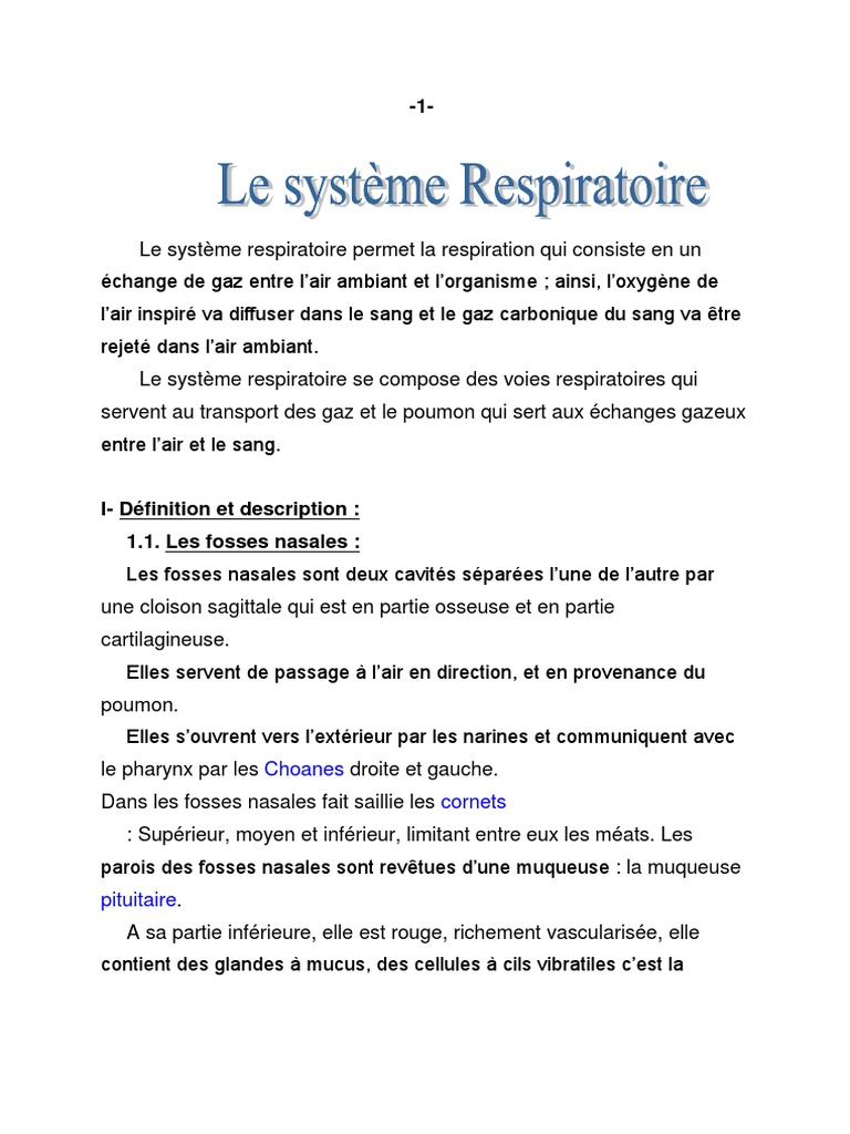Anatomie du Système Respiratoire | PDF | Poumon | Respiration