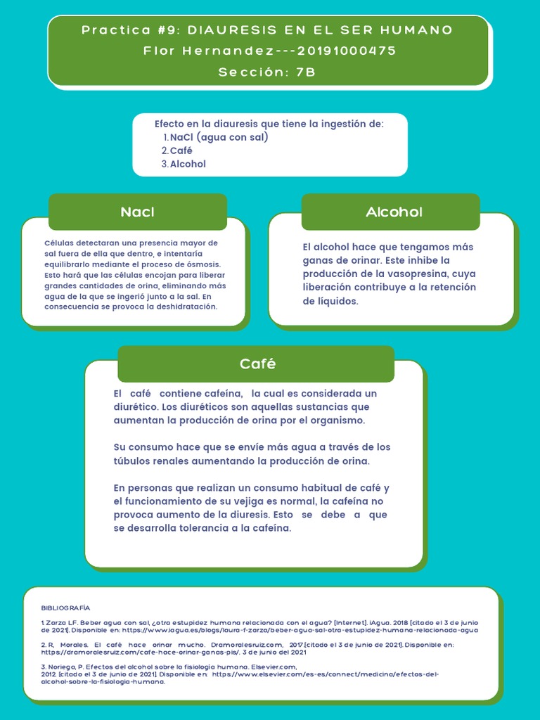 Efectos del café y alcohol en diuresis | PDF | Cafeína | café