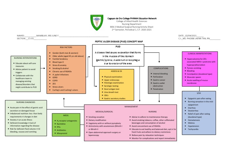 Peptic Ulcer Disease (Pud) Concept Map PUD | PDF | Medical Specialties ...