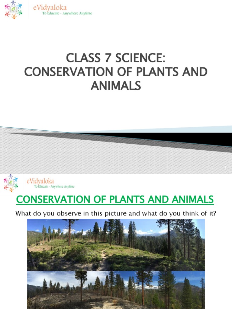 Class 7 Science: Conservation of Plants and Animals | PDF ...