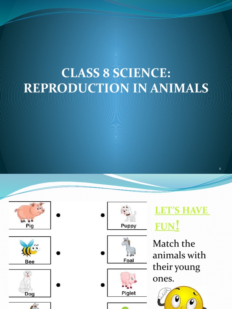 Class8 Science ReproductionInAnimals | PDF | Fertilisation | Sexual ...