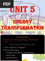 Unit Five Last One Grade 11 Biology Energy Transformation | PDF ...