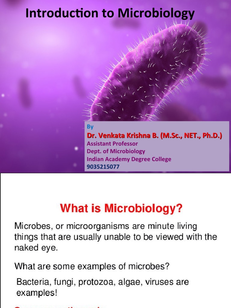 Introduction To Microbes | PDF | Microorganism | Microbiology