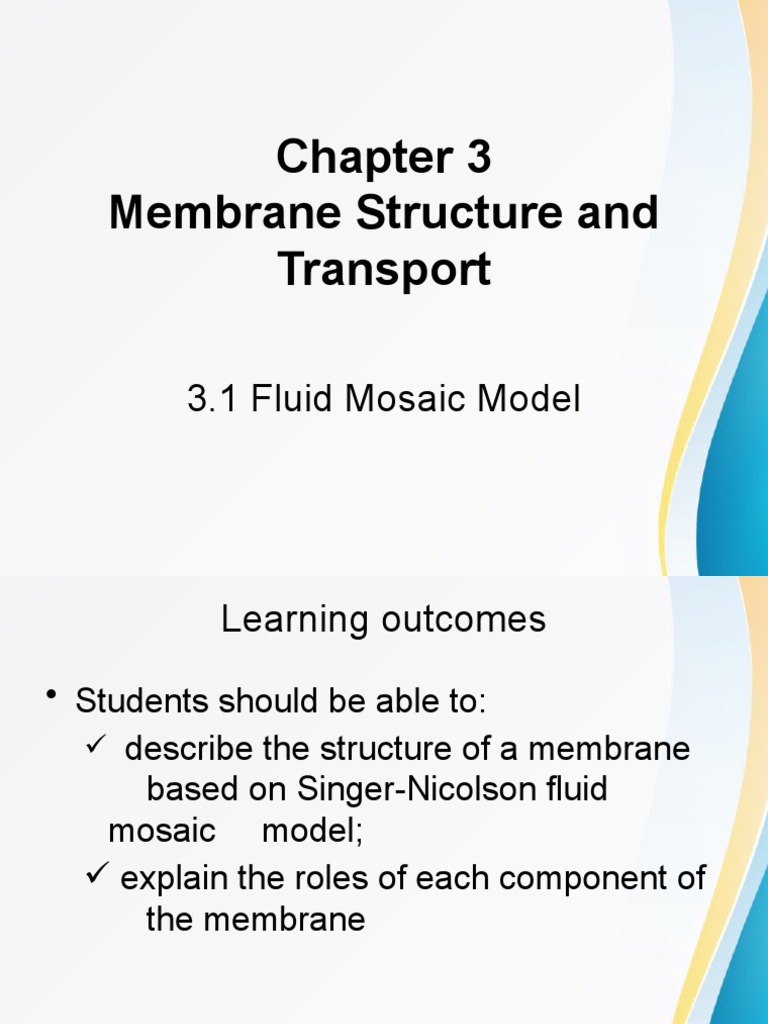 3.1 Fluid Mosaic Model | PDF | Cell Membrane | Phospholipid