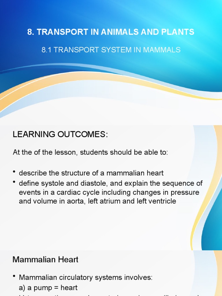 8.1 Transport System in Mammals | PDF | Heart Valve | Atrium (Heart)