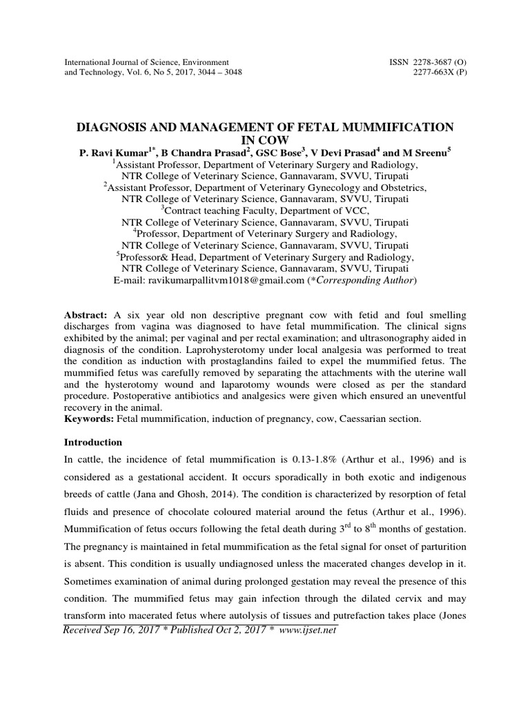 Diagnosis and Management of Fetal Mummification in Cow | PDF | Fetus ...