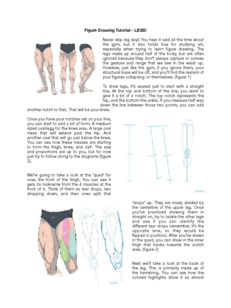 Figure Drawing Tutorial - LEGS! | PDF | Figure Drawing