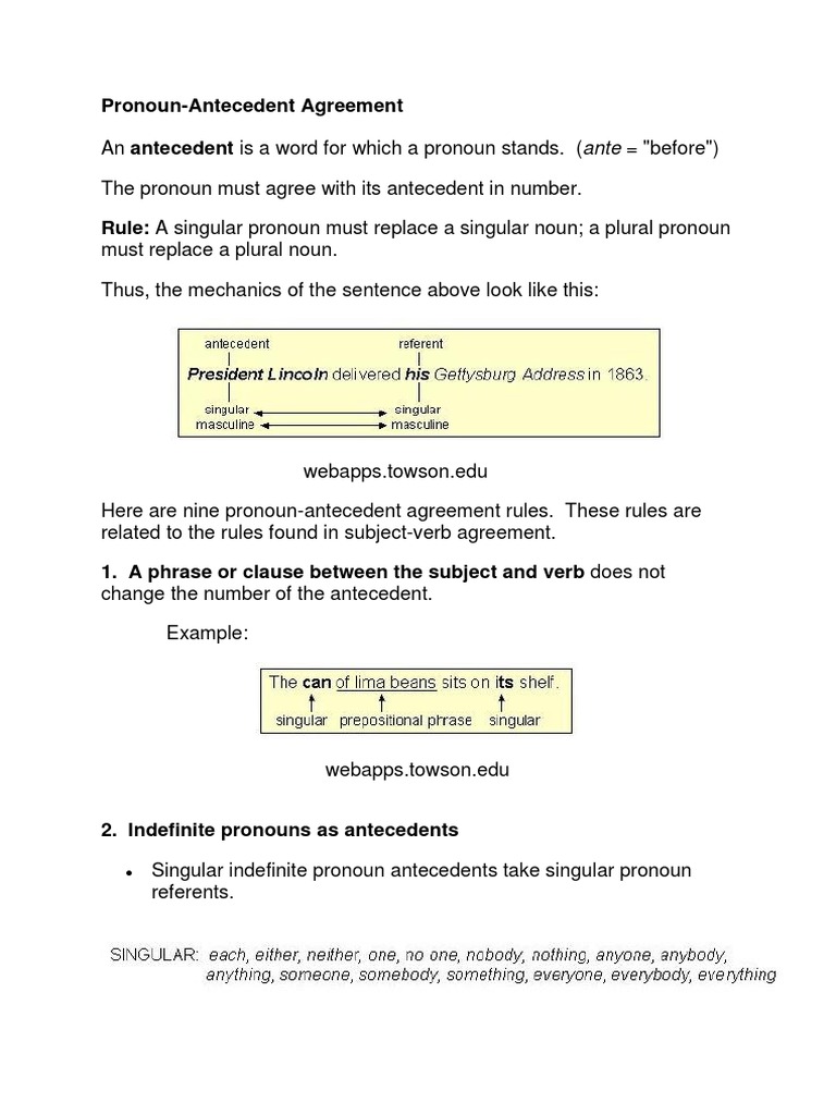 Pronoun-Antecedent Agreement Errors | PDF | Grammatical Number | Pronoun
